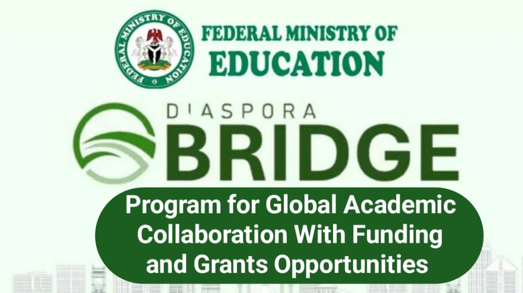 Apply Now: Federal Ministry of Education BRIDGE Program for Global ...